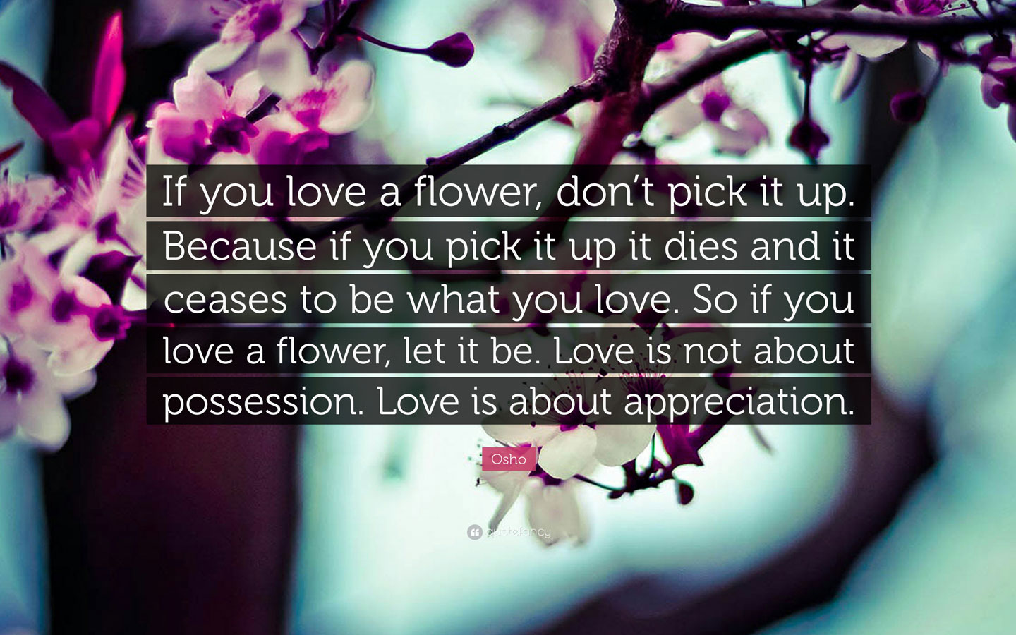 Wallpaper – Tejash Shah